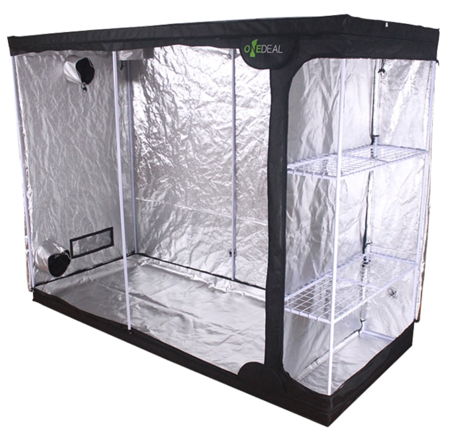 Tents – VivaLaCusty.com